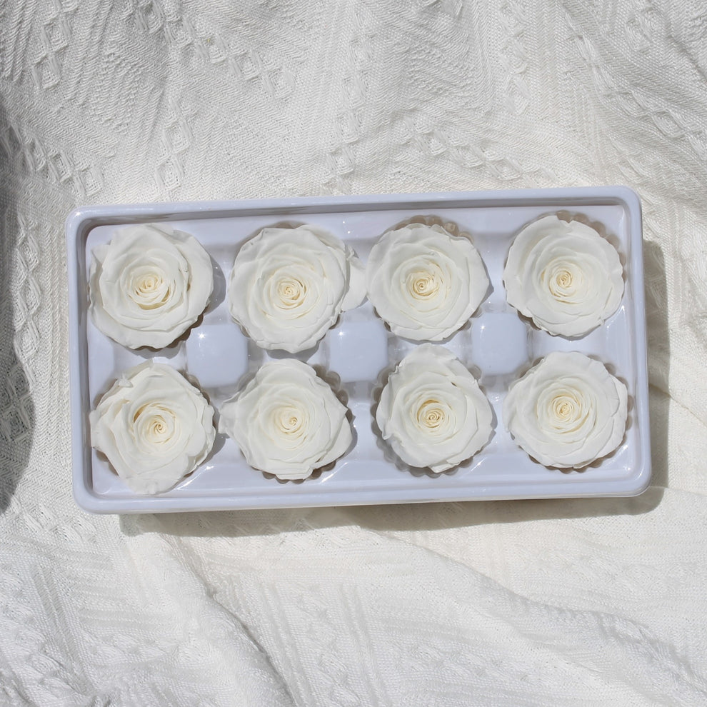 Preserved Rose White Dried Flower | Long-Lasting Beauty | Premium ...