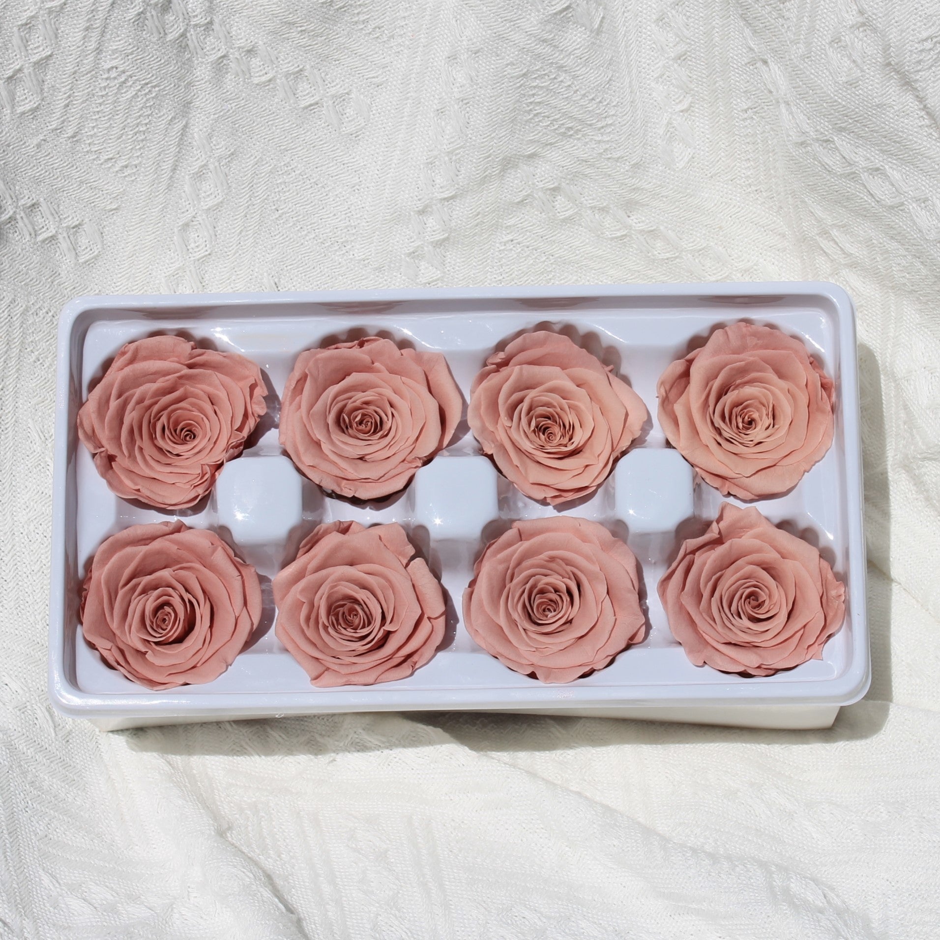 Preserved Roses Dusty Pink Dried Flower: Elegant & Long-lasting Blooms ...
