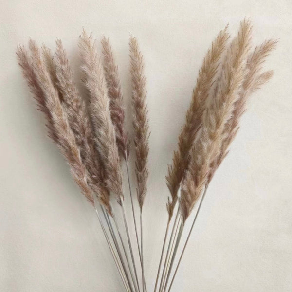 Fluffy Stick Natural – Flowers Factory