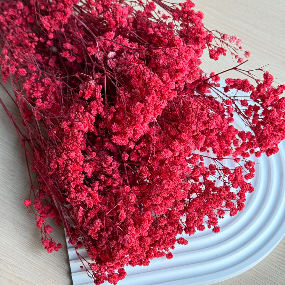 Baby's Breath Red Dried Flower - Bulk Dried Flowers for Crafts ...