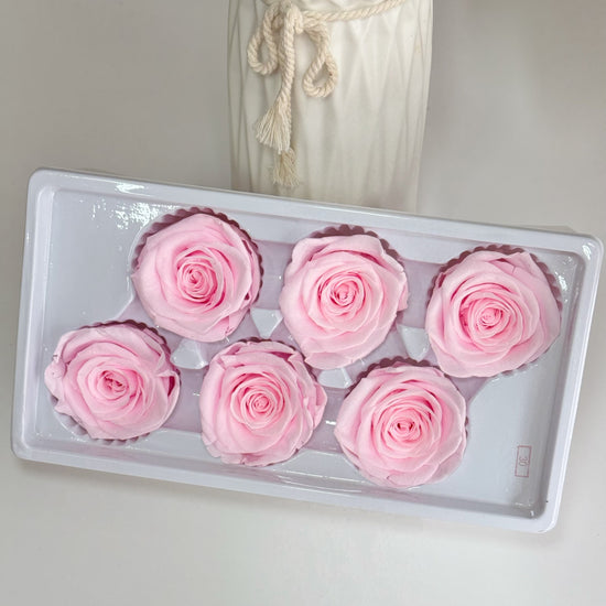 Preserved Rose Head – Flowers Factory