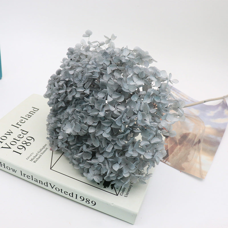 Hydrangea Grey Dried Flower | Elegant & Long-Lasting Dried Flowers ...